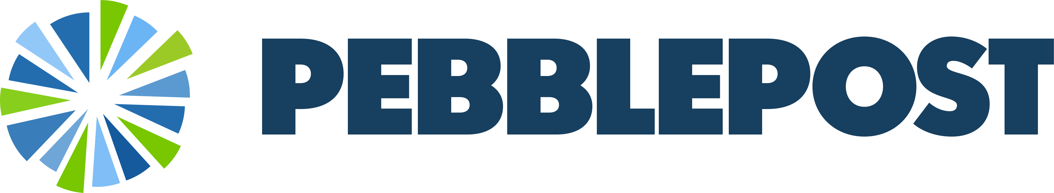 PebblePost - Rebecca Lieb